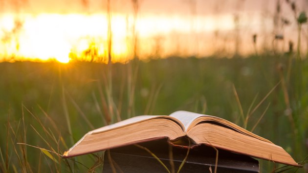 Preaching Backgrounds 4,100+ Preaching The Gospel Stock Photos,